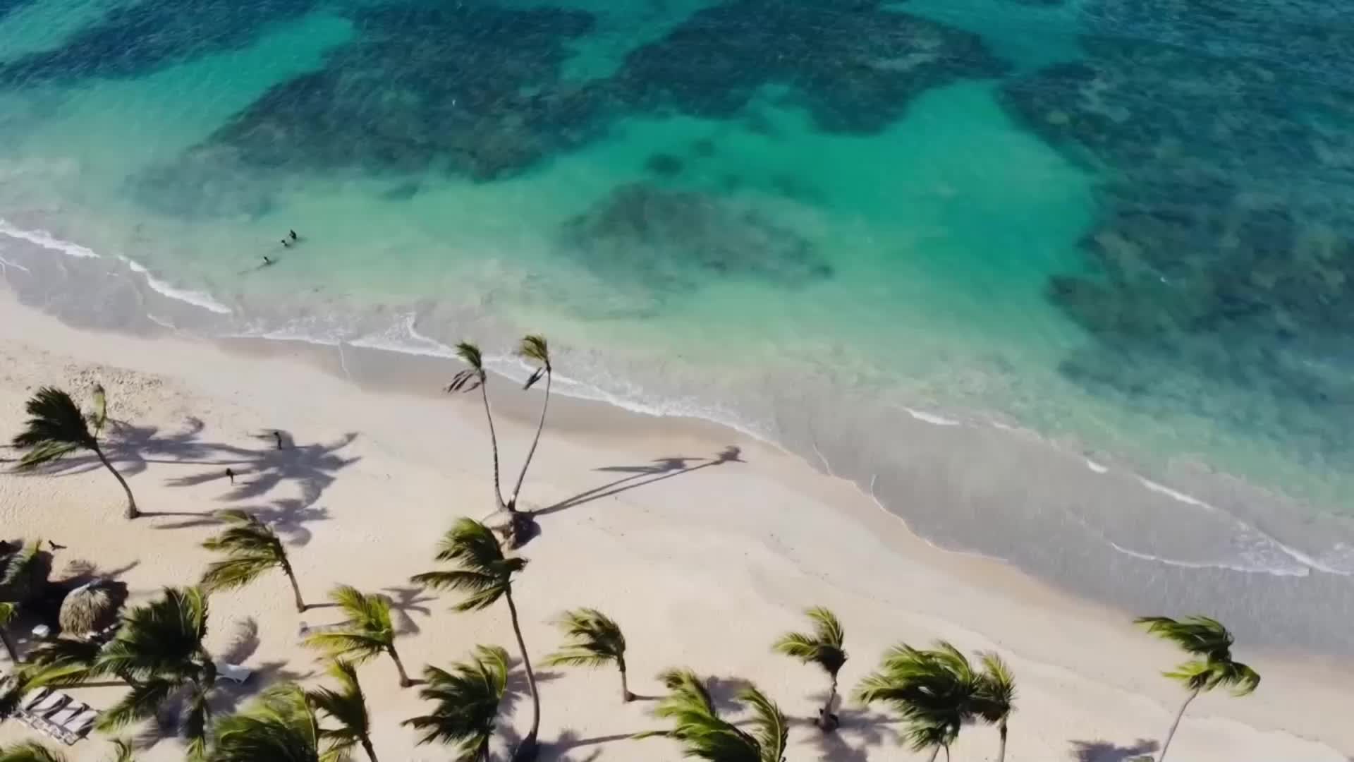 Gallery: the resort - Playa Palmera