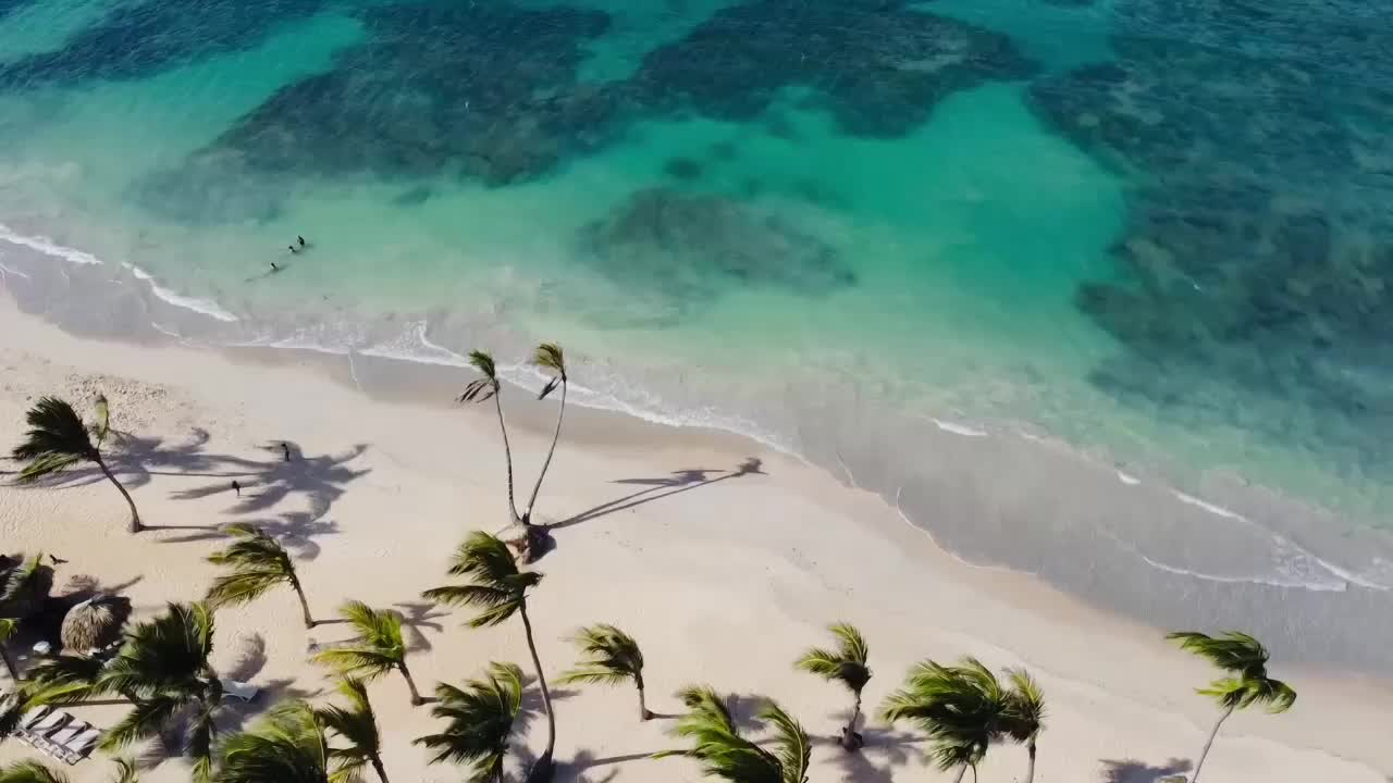 Gallery: the resort - Playa Palmera